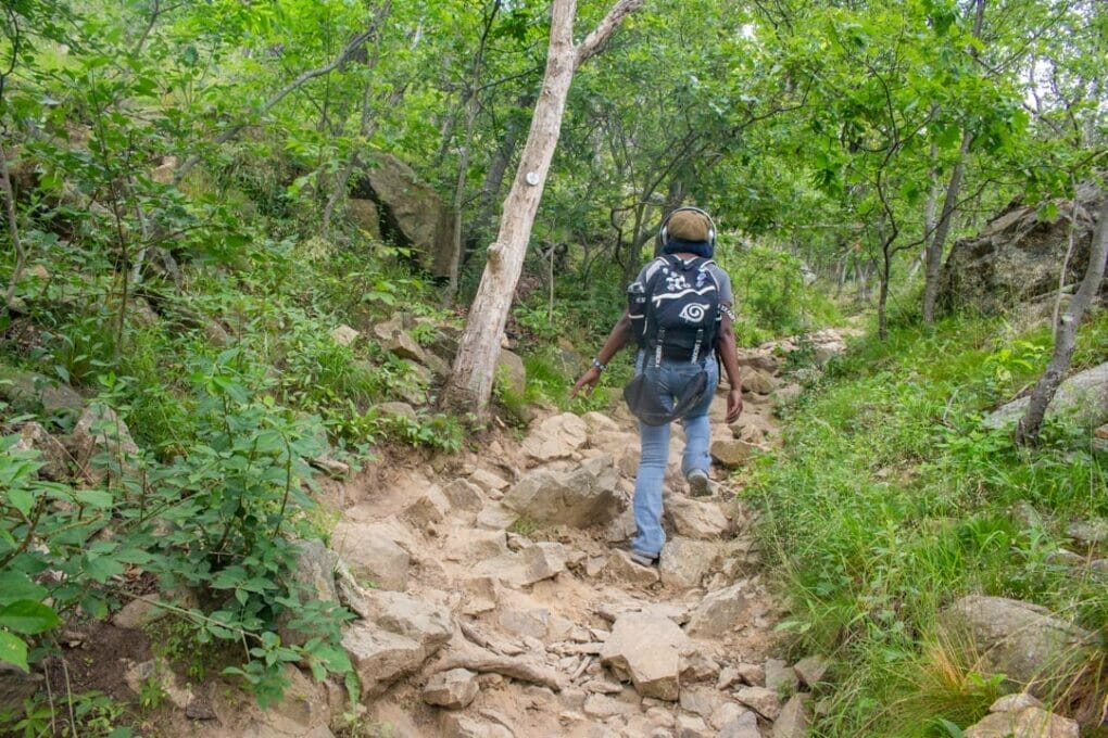 Nature Photography: Adventures of the Trail - Auden Johnson