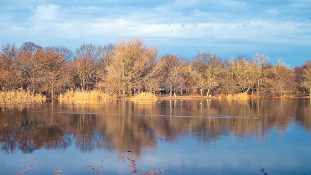 Capturing Beautiful Nature Photos at Boring Locations - Auden Johnson